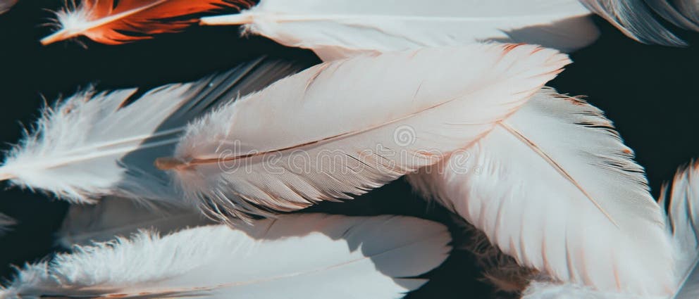 Delicate Feather Patterns Creating a Soft and Elegant Overlay Texture ...