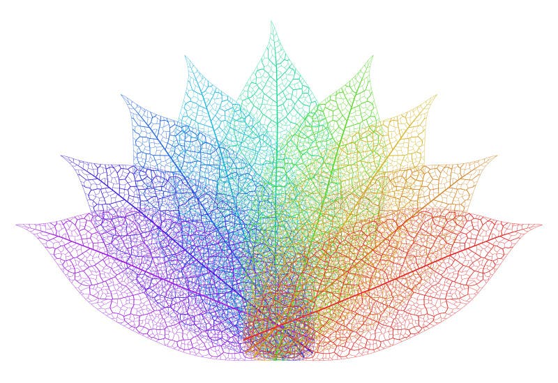 Vector Illustration Outline of a Flower Pattern Composed of Leaf Veins ...