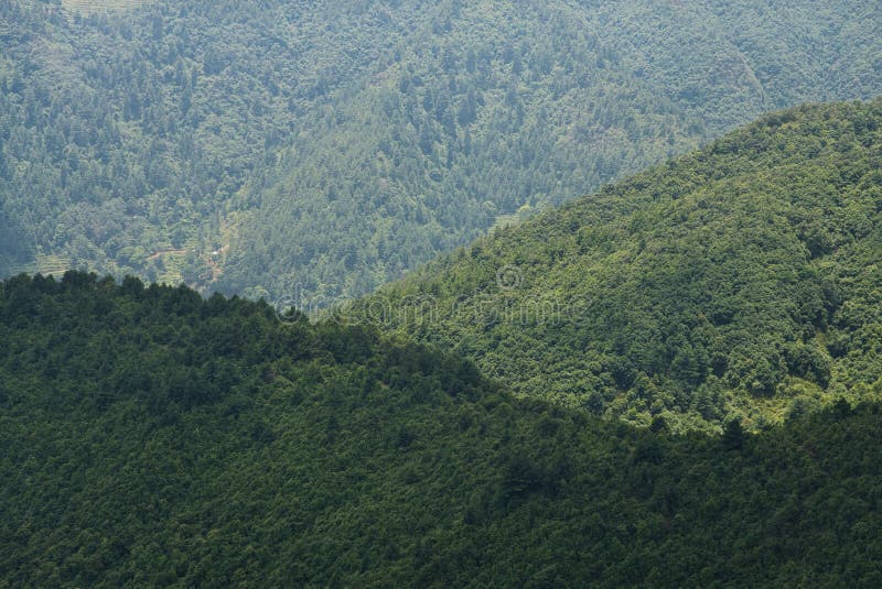 Layered Hills Covered in Trees Stock Image - Image of alpine, forest ...