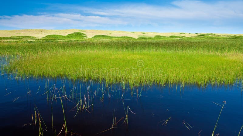Layered landscape stock image. Image of rural, idyllic - 12572959