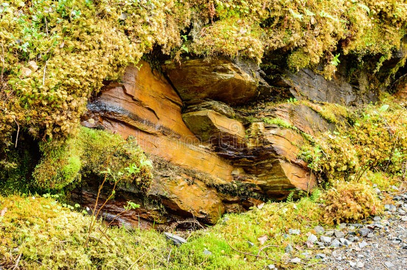 Vegetation, Rock, Shrubland, Ecosystem Picture. Image: 125017288