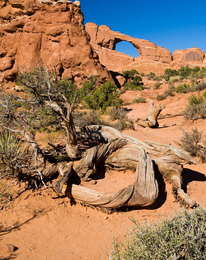 Layered Rock Formation stock photo. Image of rock, soil - 16805862