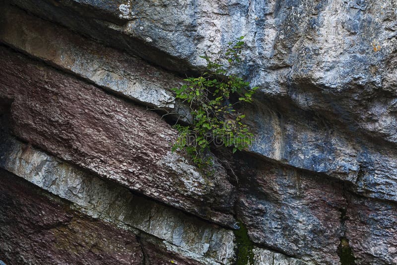 Layered rocks1 stock image. Image of water, rocks, stream - 67194637