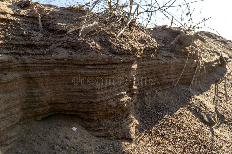 Sand beach on sea coast stock photo. Image of terrain - 361642296