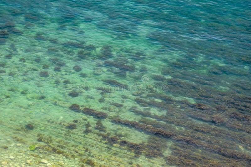 Layered Shore Structure in Shallow Water Stock Image - Image of land ...