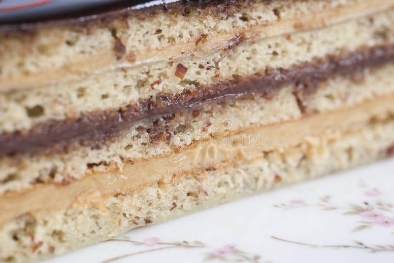 Layered Spong Cake on Plate Stock Photo - Image of cake, plate: 28701506