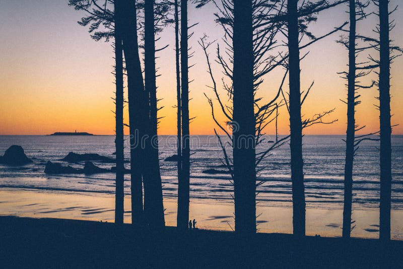 Coastal Sunset stock photo. Image of rubybeach, washingtoncoast - 99928082