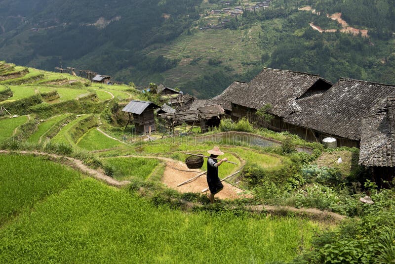 Layered Terraced Fields, Water-injected Terraced Fields Editorial Stock ...