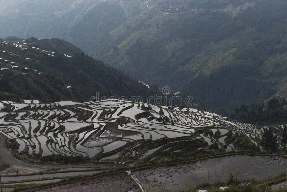 Layered Terraced Fields, Water-injected Terraced Fields Stock Photo ...
