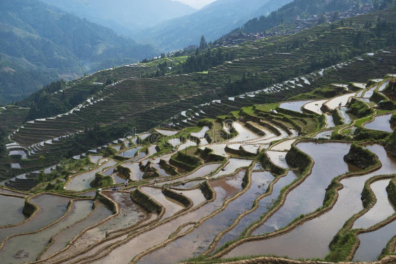 Layered Terraced Fields, Water-injected Terraced Fields Stock Image ...