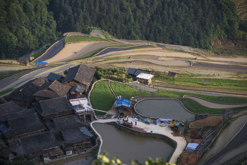 Layered Terraced Fields, Water-injected Terraced Fields Stock Image ...
