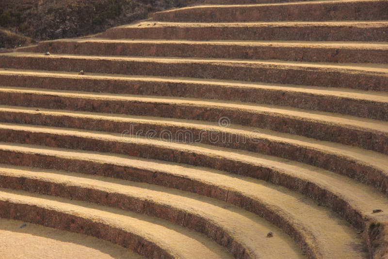 The Layered Terraces at Machu Picchu Stock Photo - Image of machu ...