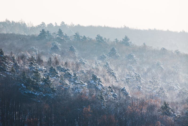 Layered Trees on a Distant Hills Stock Photo - Image of cool, trees ...