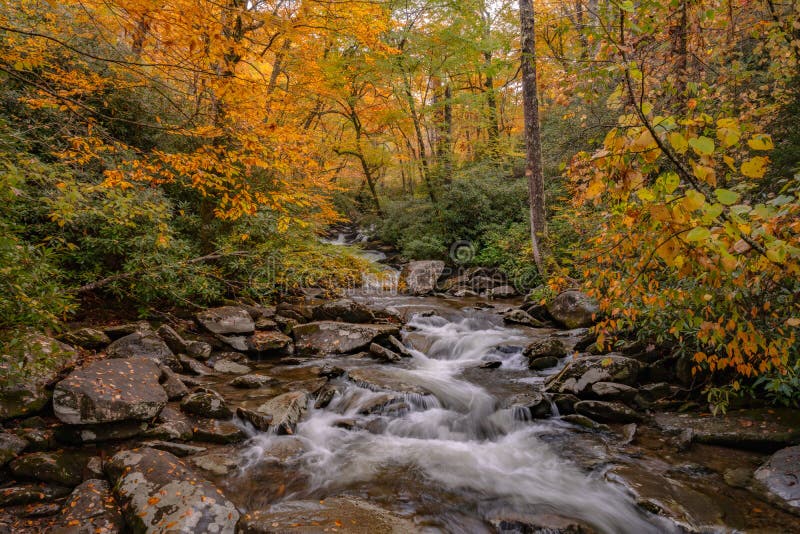 Layers of Colors and Textures Along Rushing Creek Stock Photo - Image ...