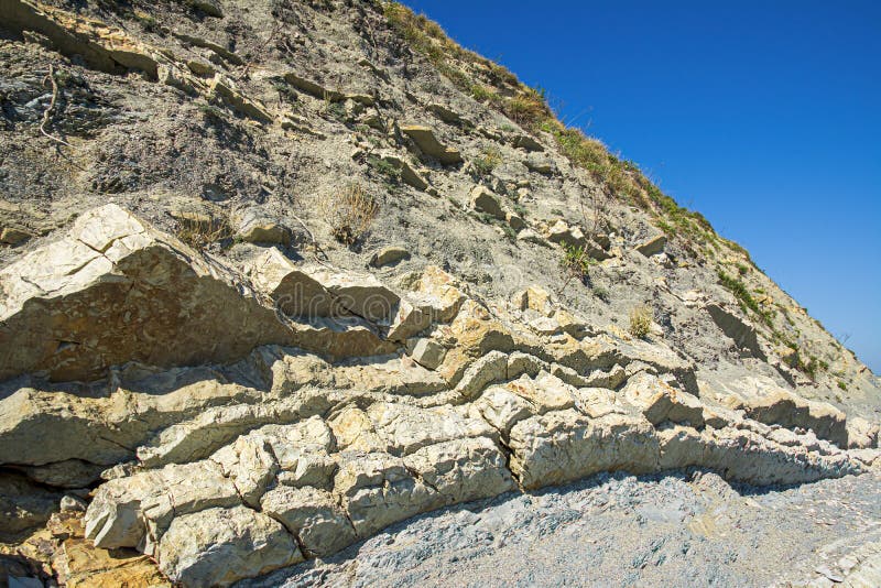 Layers of Limestone Plates in the Germanic Triassic of the Harz ...