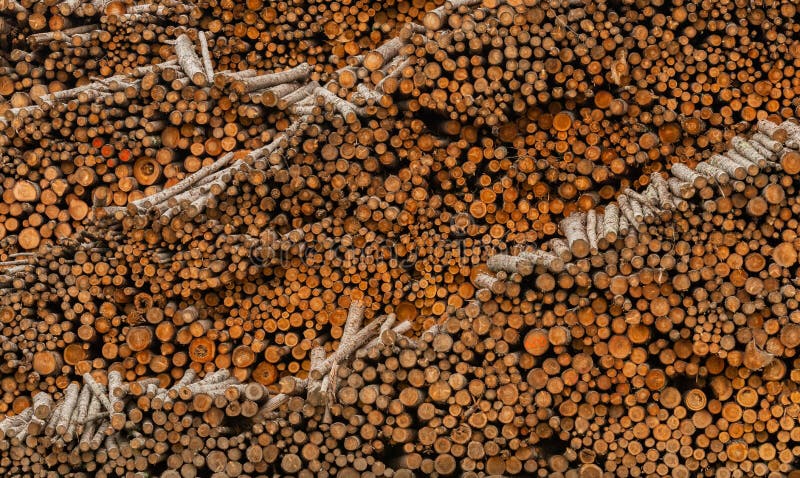 Layers of Logs Drying before Milling Stock Image - Image of wooden ...