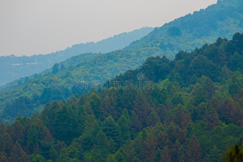 Layers of Mountains Covered in Trees Stock Image - Image of himalayan ...