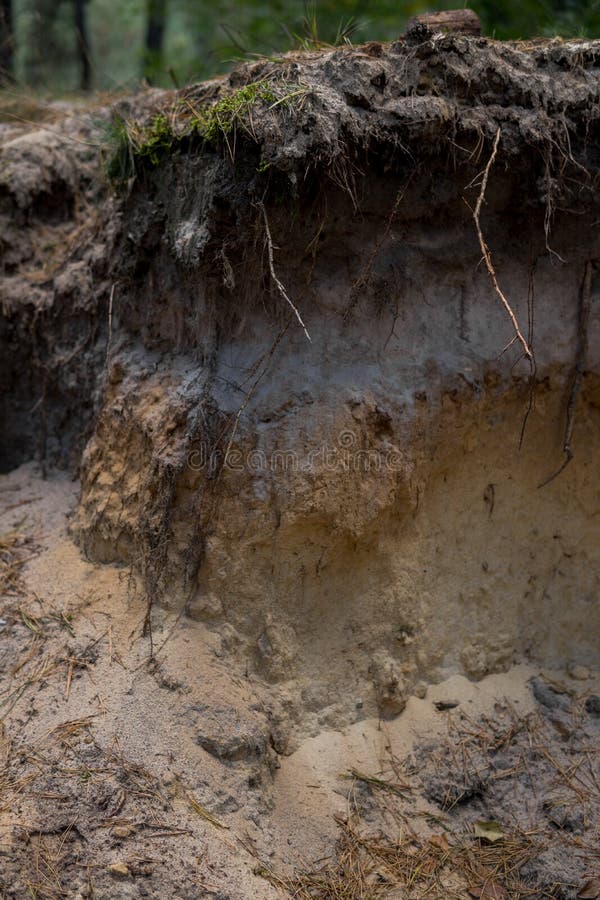 Detail of podzol soil stock image. Image of geology - 106357081