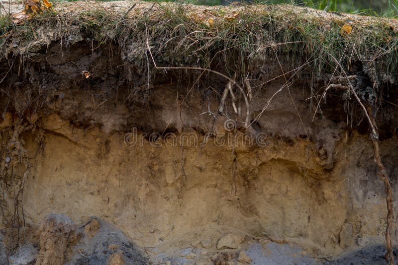 Detail of podzol soil stock image. Image of geology - 106357081
