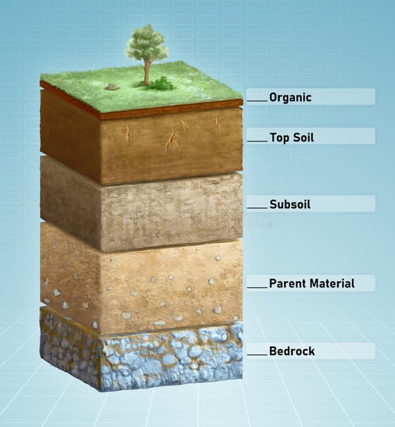 Soil Profile Diagram Stock Illustrations – 144 Soil Profile Diagram ...