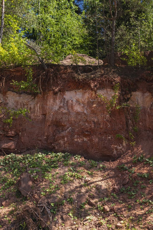 Layers of Soil on the Sandstone and Under the Forest Stock Image ...