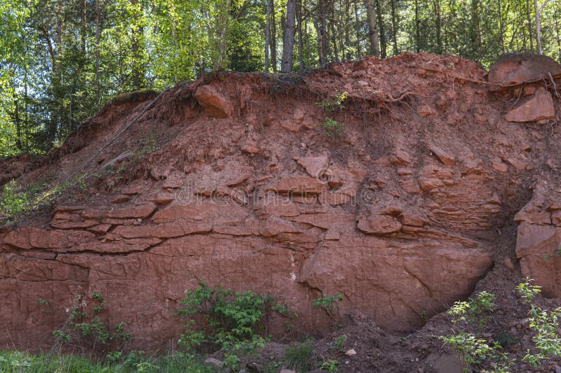 Layers of Soil on the Sandstone and Under the Forest Stock Photo ...