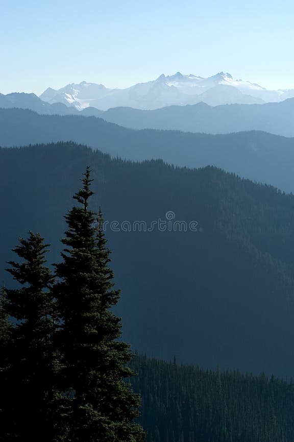 Layers of wilderness stock image. Image of indian, native - 276967