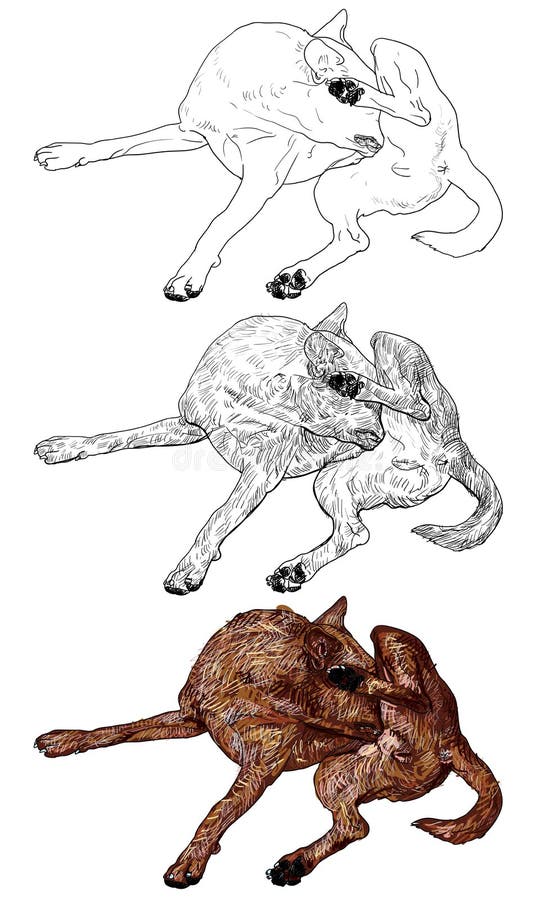 Laying dog stock vector. Illustration of lying, animal - 32064439