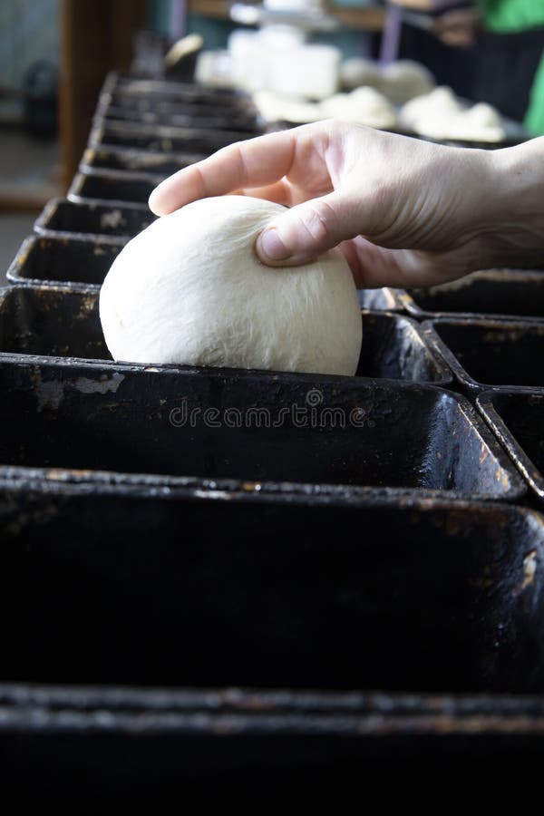 Laying the Dough in the Molds for Future Bread. Stock Photo - Image of ...