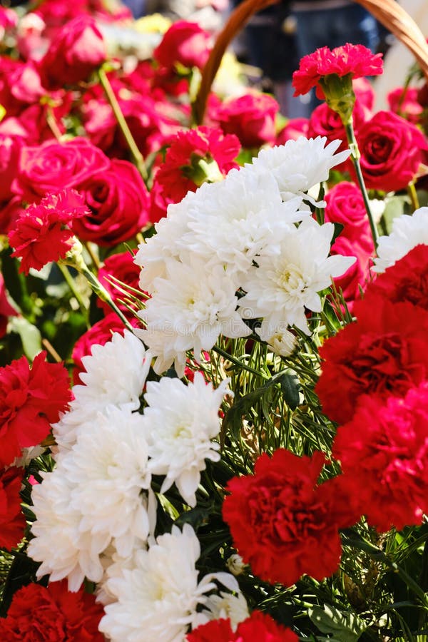 Laying Flowers on Victory Day on the Ninth of May Stock Image - Image ...