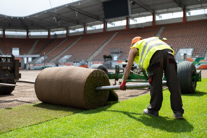 Laying Grass in a Roll on a Football Field Editorial Photo - Image of ...