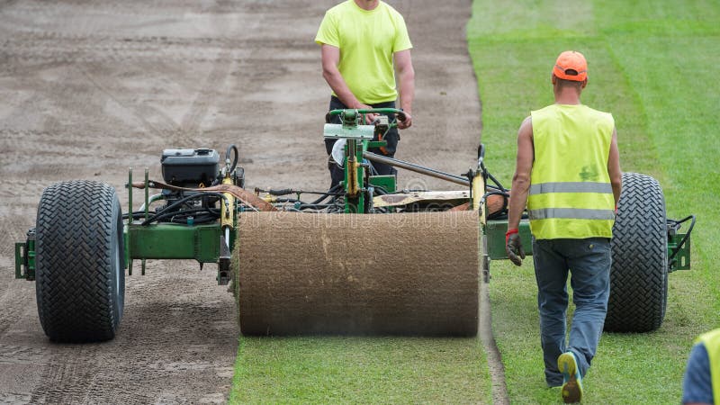Laying Grass in a Roll on a Football Field Editorial Stock Photo ...