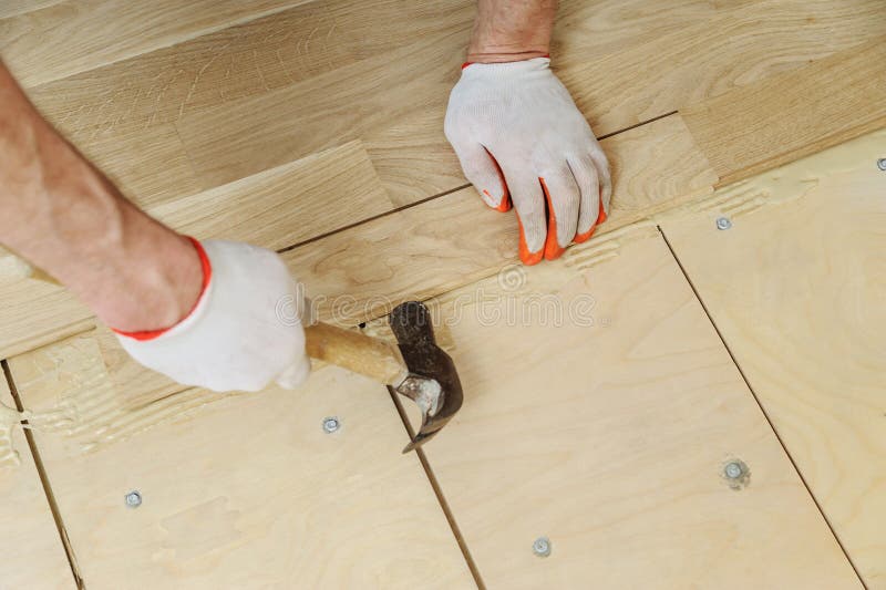 Laying hardwood parquet. stock photo. Image of construction - 74202404