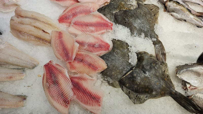 Laying Out Fresh Fish on Ice in a Grocery Store. Stock Photo - Image of ...