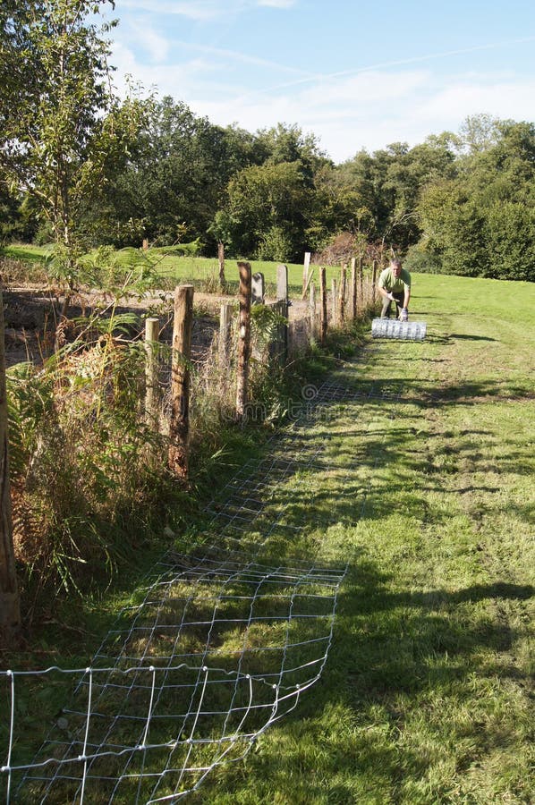 Laying out stock fencing stock image. Image of boundary - 26543339