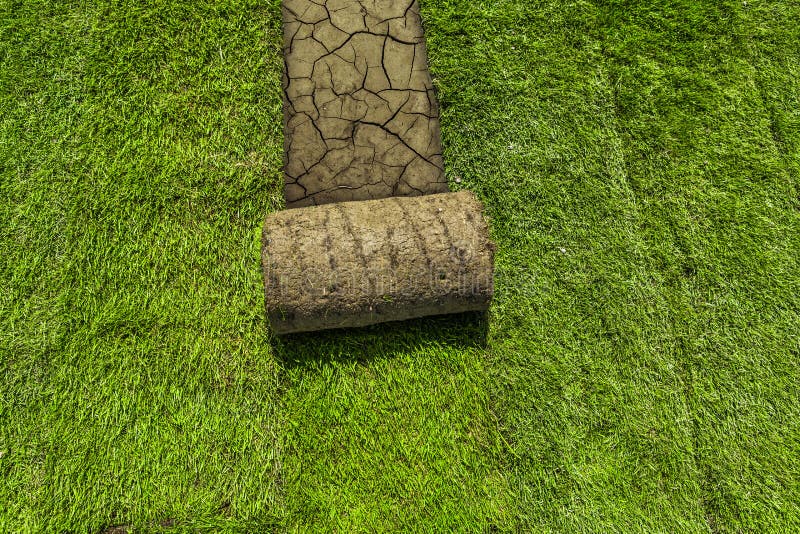 Laying out turf stock image. Image of environment, nature - 213013203