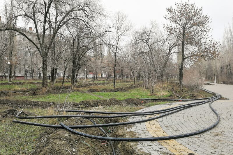 Laying of the Sprinkler System of the Pipeline in the Ground Trenches ...