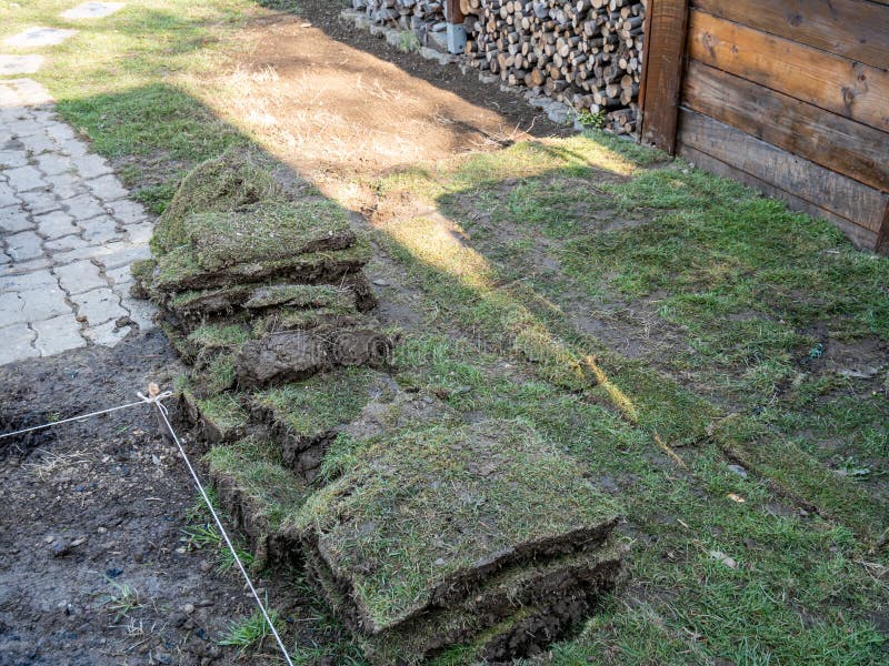 Laying a Sward in the Garden Stock Photo - Image of carpet, recycling ...