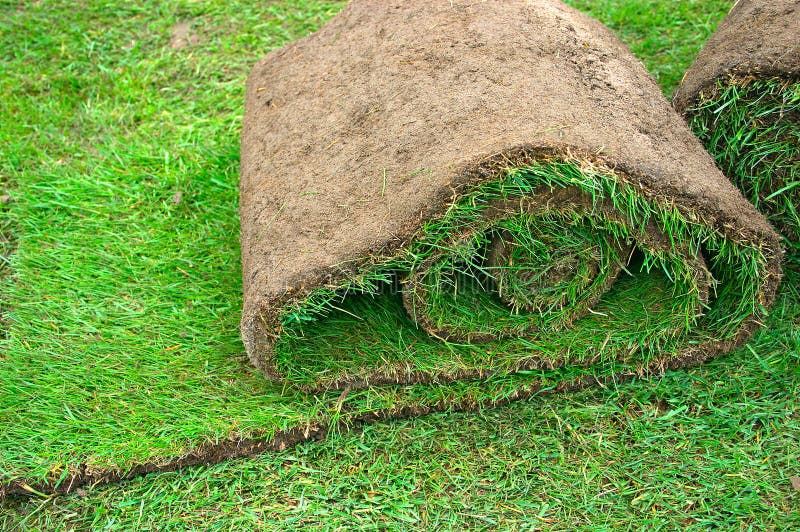Laying turf stock image. Image of gardening, rolled - 187747679