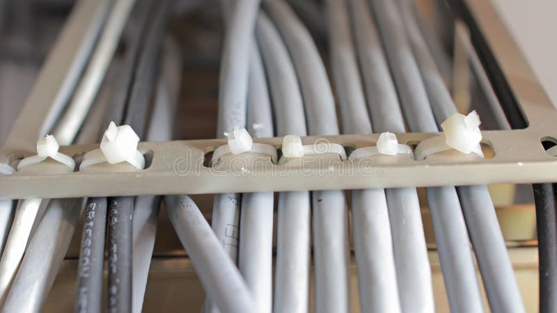 Laying on UTP Cable Ladders Stock Image - Image of industry, access ...
