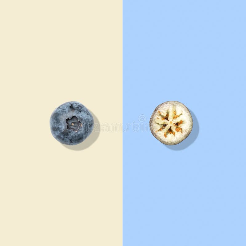 Layout of Blueberry. Creative Food Concept Stock Photo - Image of ...