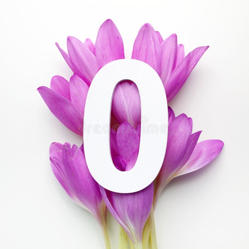 Layout with Colorful Flowers, Leaves and Number Zero. Flat Lay. Top ...