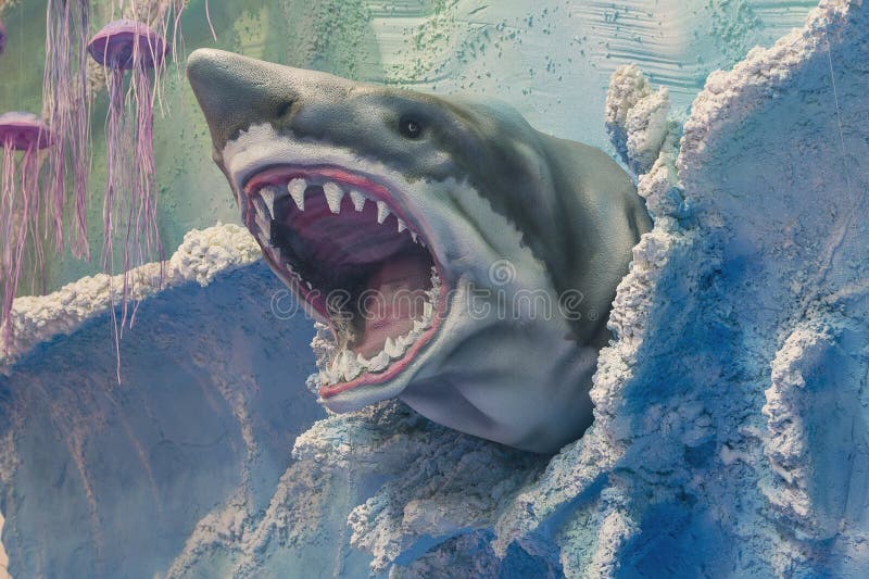 Layout Dreadful Predatory Sharks in the Sea Stock Photo - Image of cape ...