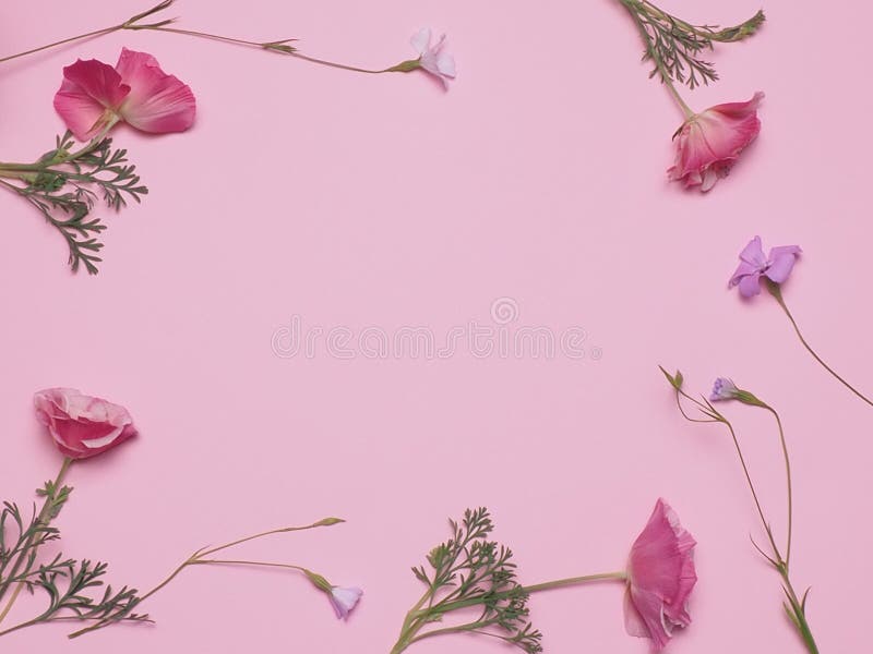 Layout with Flowers in Contemporary Pink Paper. for Creative Design ...