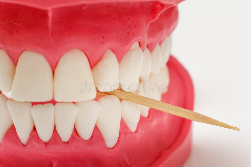 Layout of the Human Jaw and Toothpick in it. Stock Photo - Image of ...