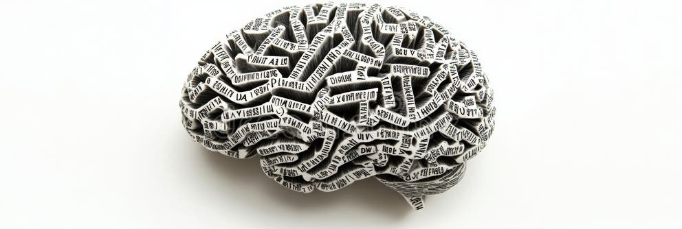 A Layout Shows a Human Brain Intricately Crafted from a Diverse Array ...