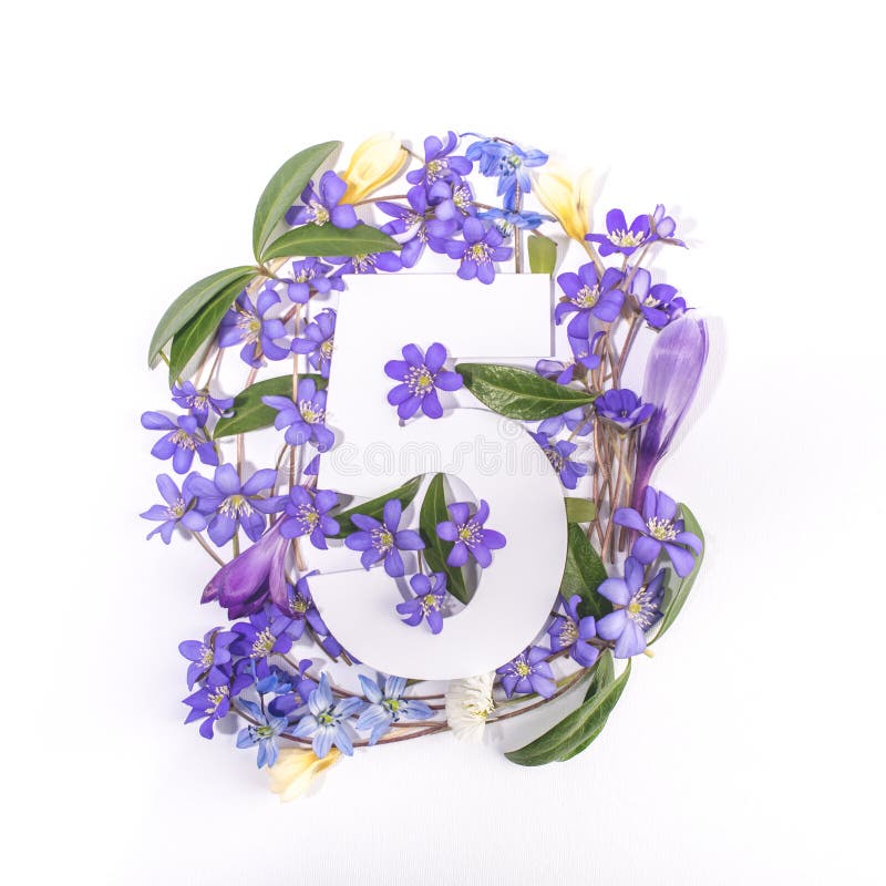 Layout with Spring Flowers and Number Five. Anniversary Concept Stock ...