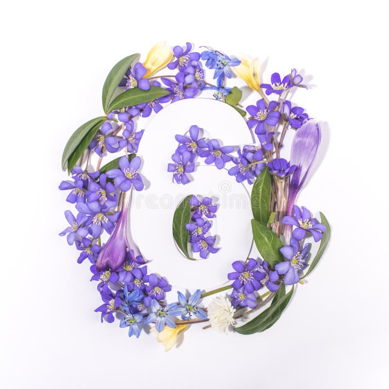 Layout with Spring Flowers and Number Six. Anniversary Concept Stock ...