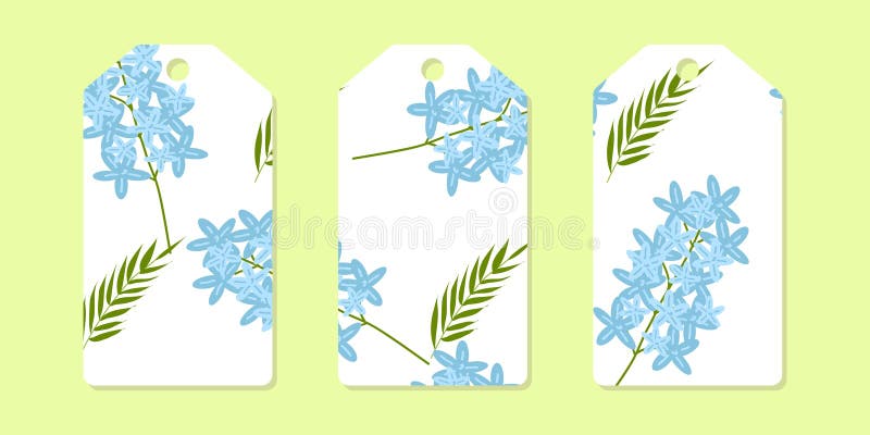 Layout Template of Colored Labels for Clothes Stock Vector ...