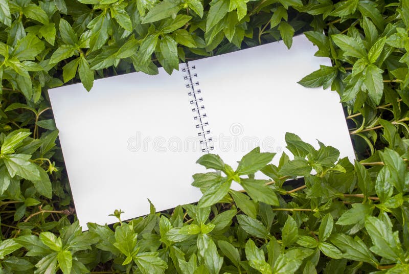 Layouts Created from White Paper and Natural Concepts Stock Photo ...